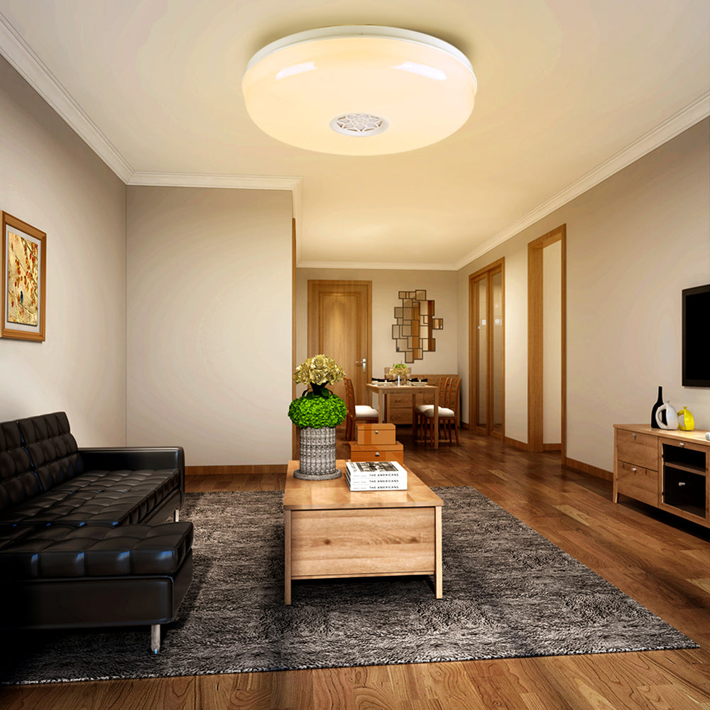 24W Smart Bluetooth Ceiling Lamp with Speaker